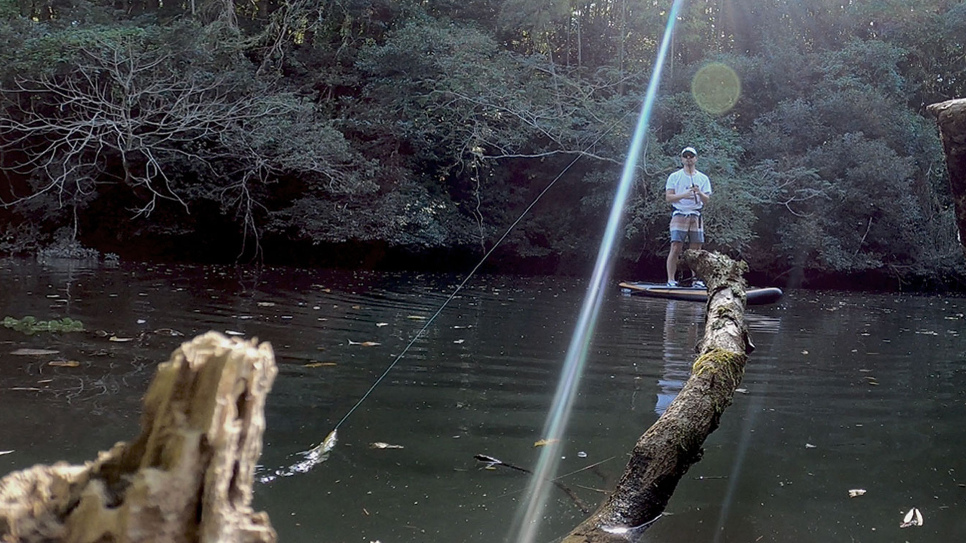 Explore and Discover | LANDMAN